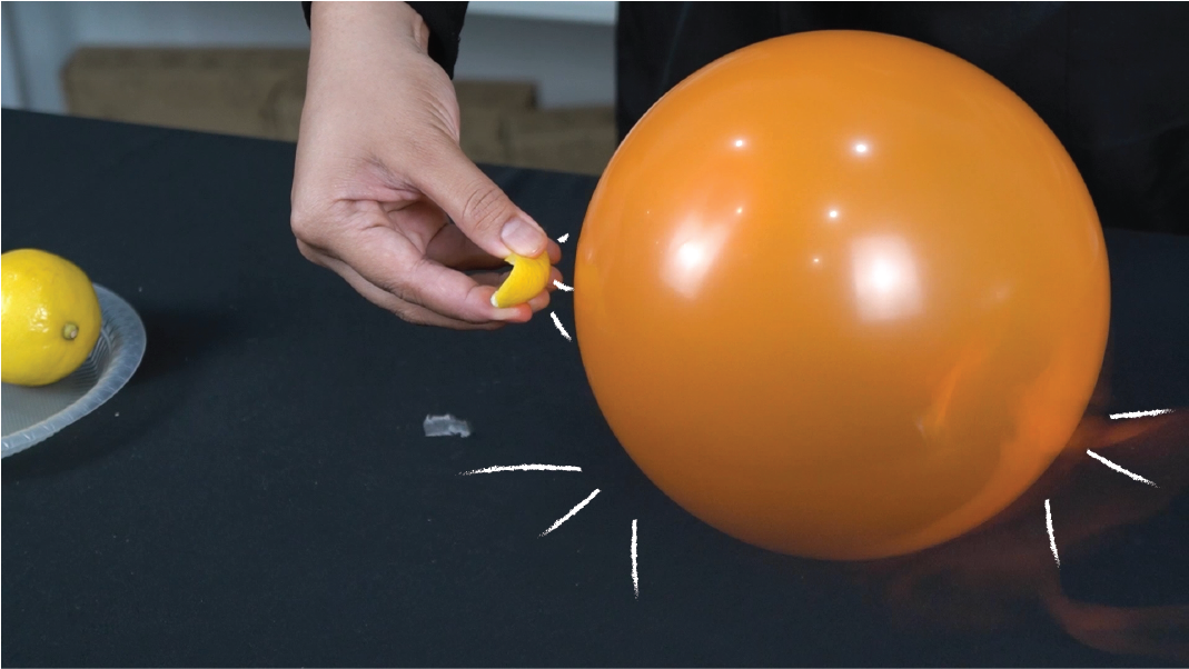 Eksperimen Tindak Balas Kulit Lemon Pada Belon – Exploria TV
